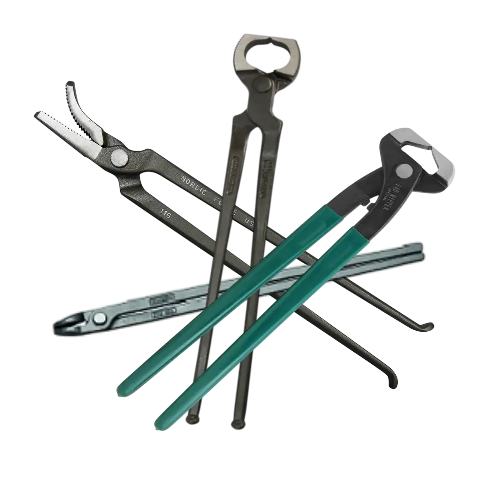 Кліщі | KONI.UA